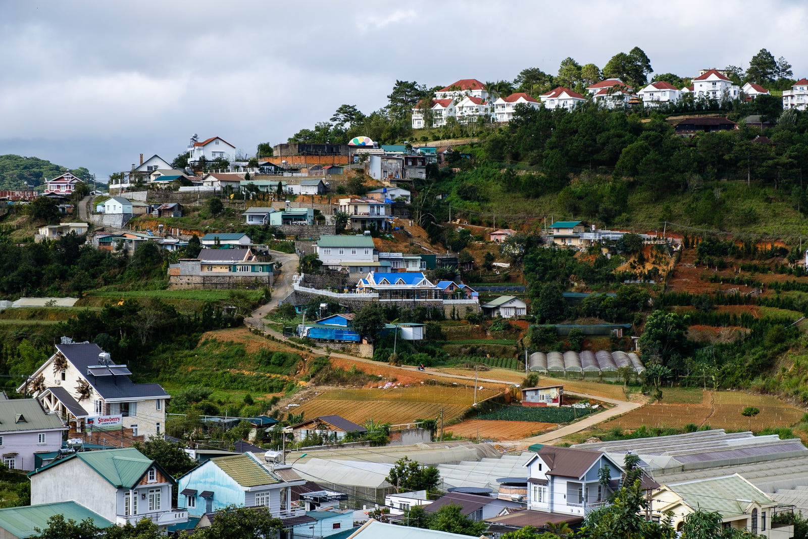 DALAT- La destination café du Vietnam – Trait de Fraction